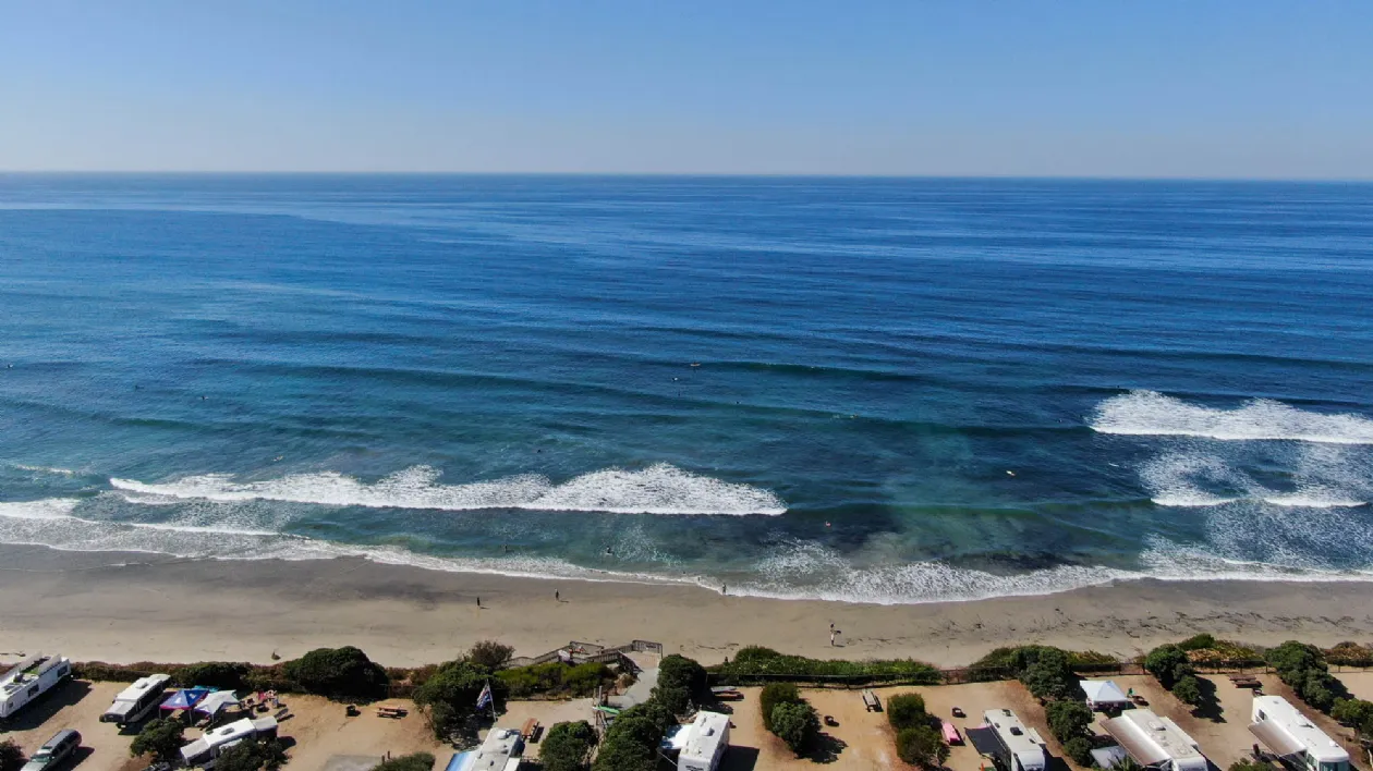 Are Dogs Allowed At San Elijo State Beach