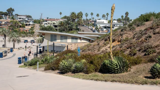 Moonlight State or Fletcher Cove Beach | Who Wins the Bragging Rights ...