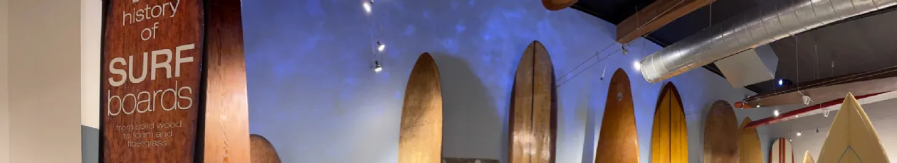 Are You Curious Why San Diego’s Surf Culture Runs so Deep? - Go Visit ...