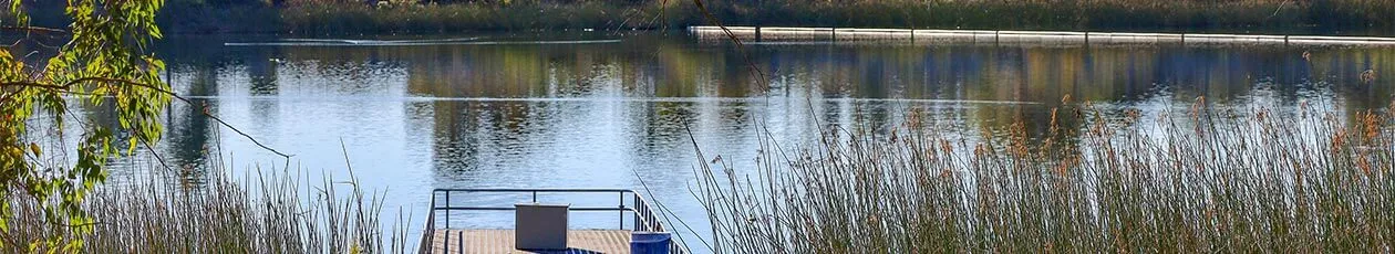 Scripps Ranch is perfect for all hikers! - Go Visit San Diego