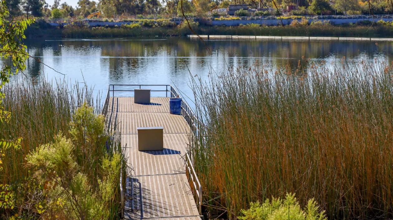 Scripps Ranch is perfect for all hikers! - Go Visit San Diego